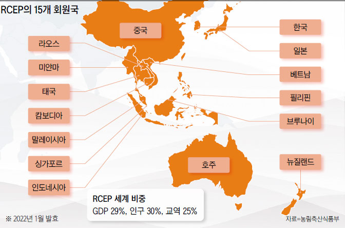 “유행이 된 한국 식품”…‘메가 FTA’ RCEP 기대감 : 네이버 블로그